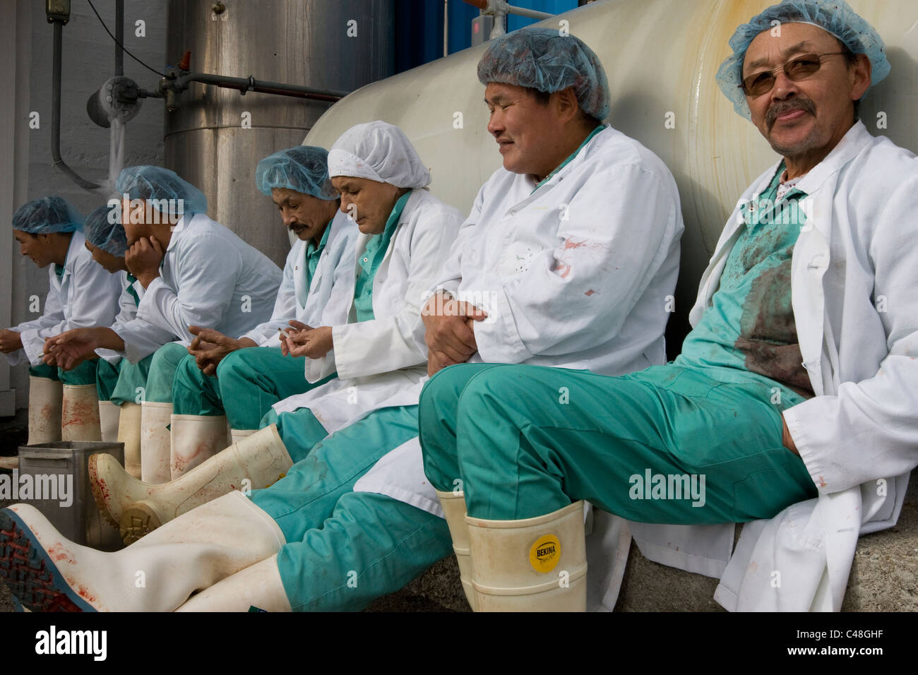 workers taking a break at the Neqi Slaughterhouse which processes ...