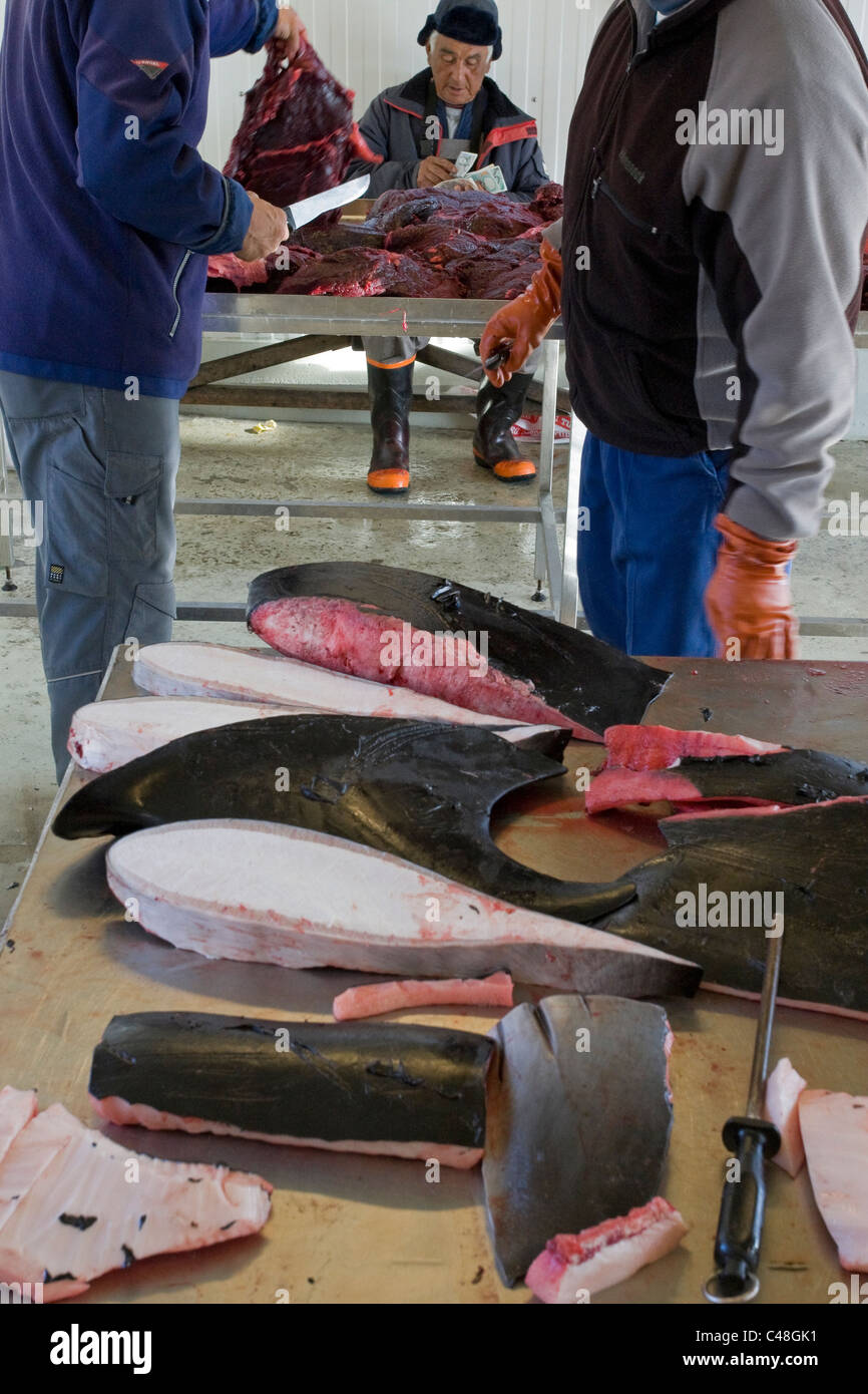 Minke whale sale in Fish Market in Qaqortoq, Greenland Stock Photo - Alamy