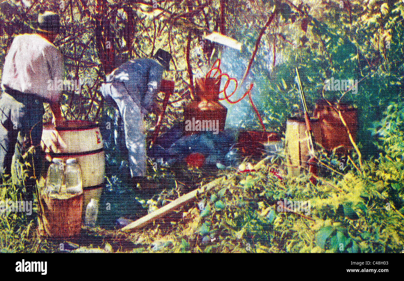 Moonshine Bootleggers in the Carolinas -- Vintage postcard, photo by ...