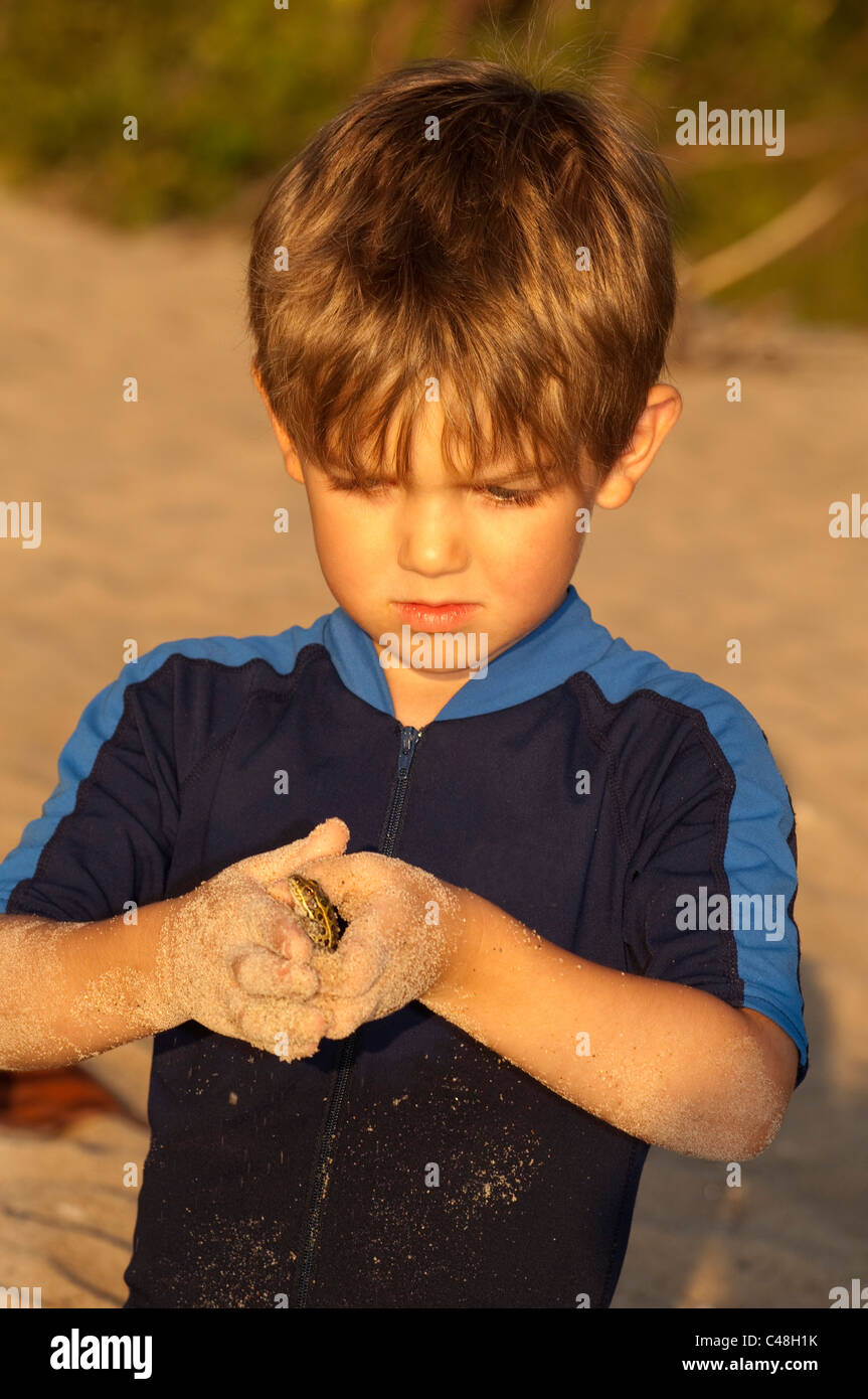 Cute frogs hi-res stock photography and images - Alamy