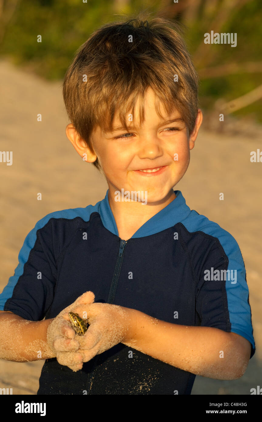 Cute frogs hi-res stock photography and images - Alamy