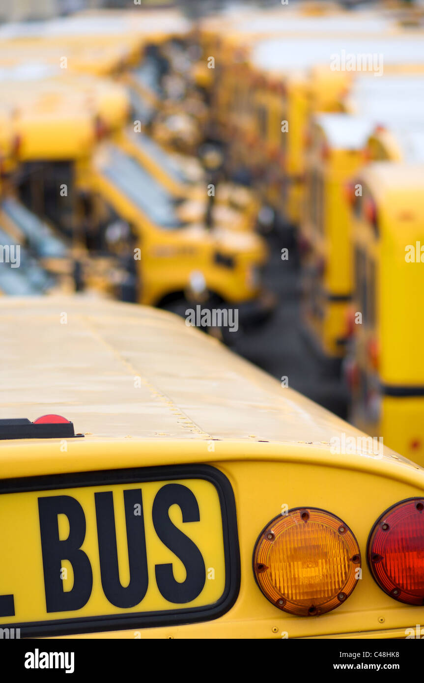 group of yellow school buses parked, Coney Island, USA Stock Photo - Alamy