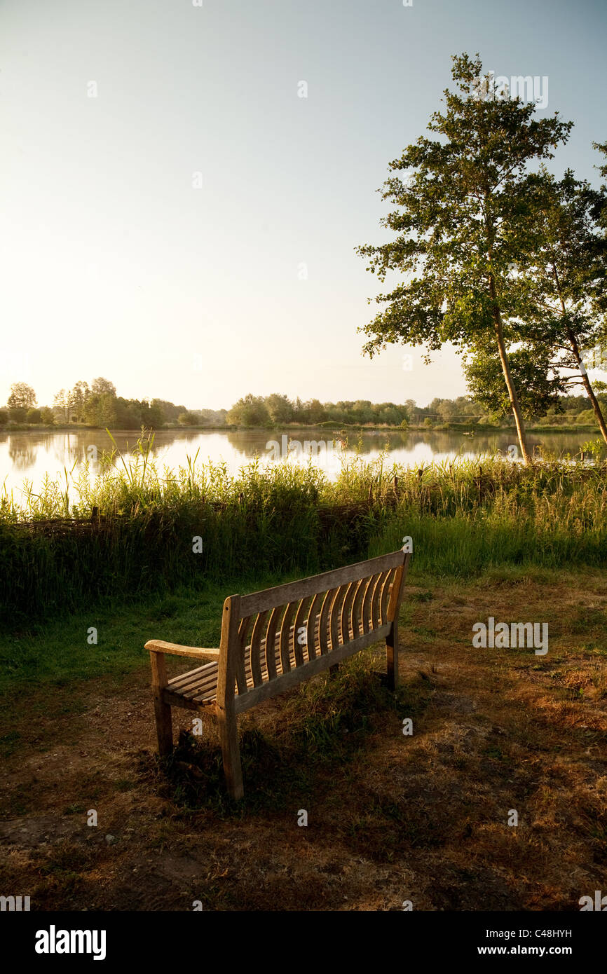 An empty bench overlooking a lake at sunrise, Lackford lakes, Suffolk ...