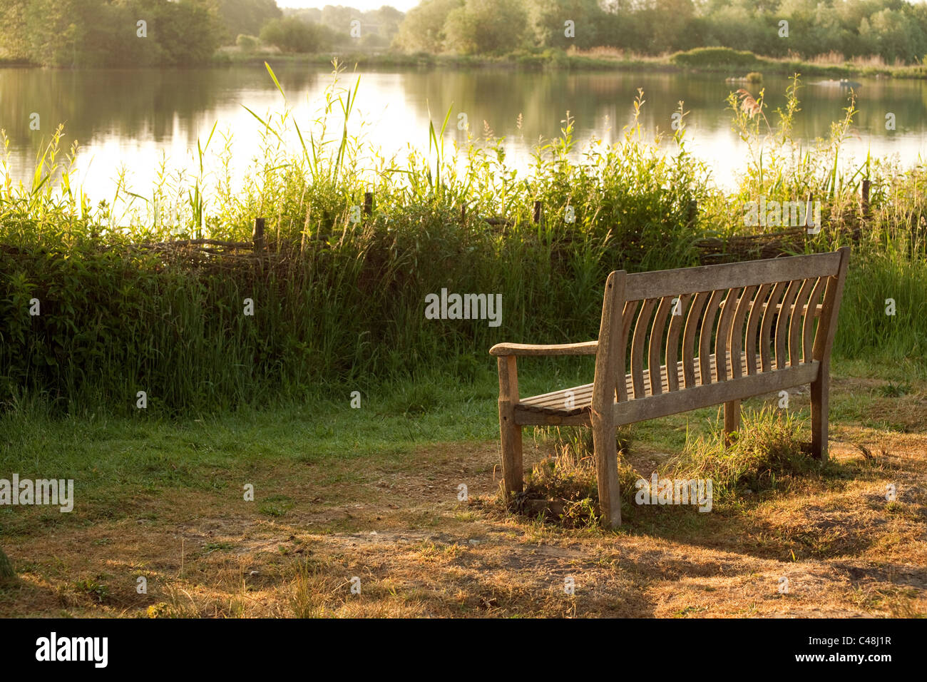 An empty bench overlooking a lake at sunrise, Lackford lakes, Suffolk ...