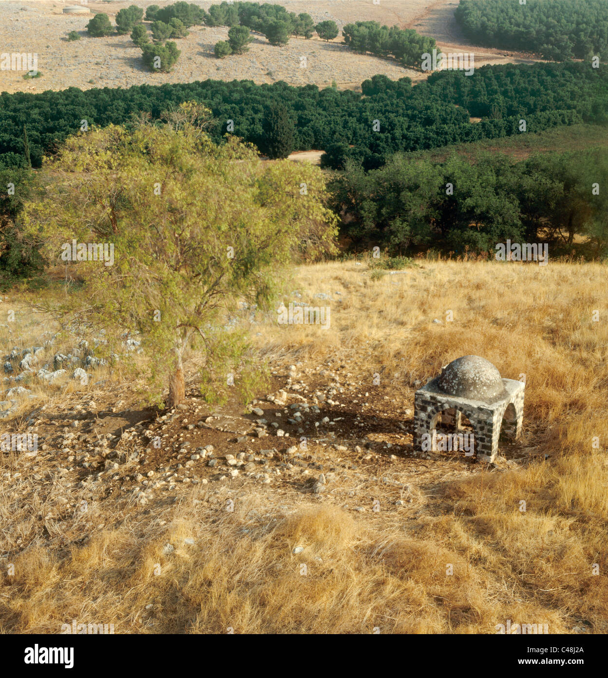 Jubb hi-res stock photography and images - Alamy