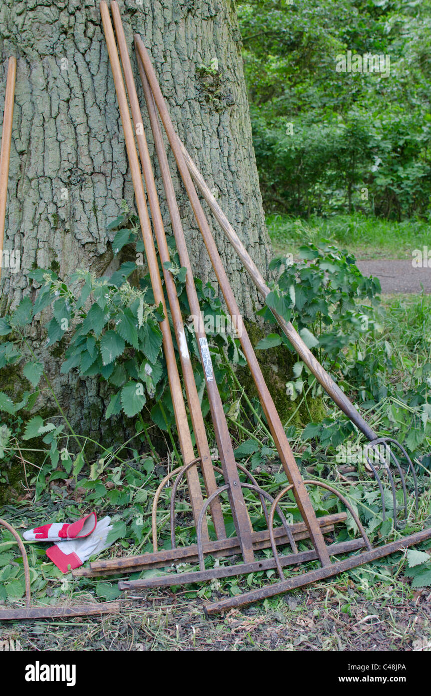 Hay fork and rakes lying against a tree trunk Stock Photo - Alamy