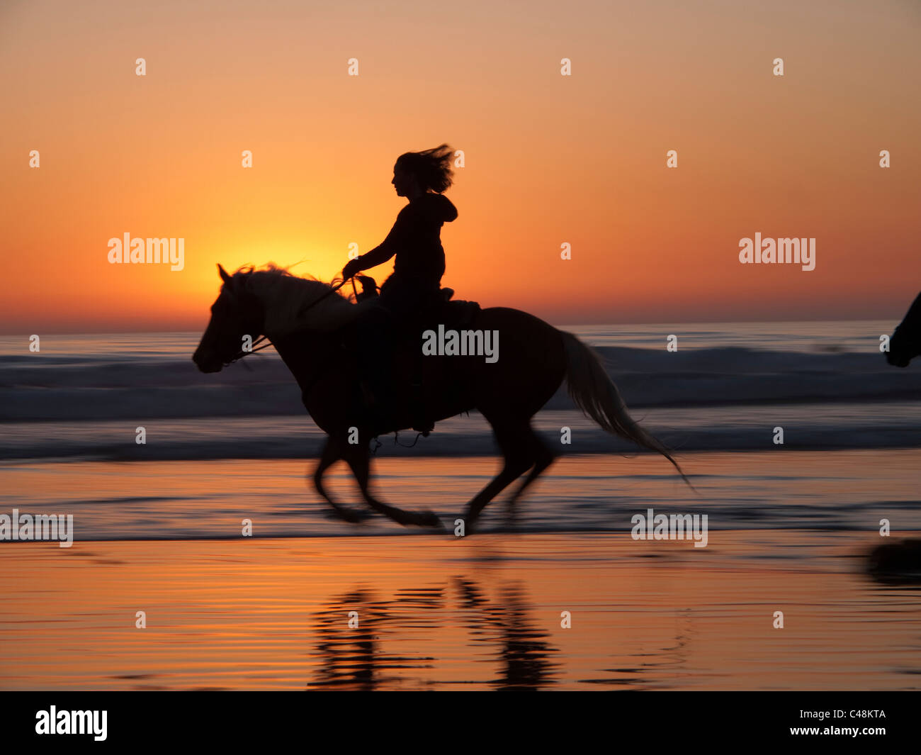 Woman riding horse beach sunset hi-res stock photography and images - Alamy