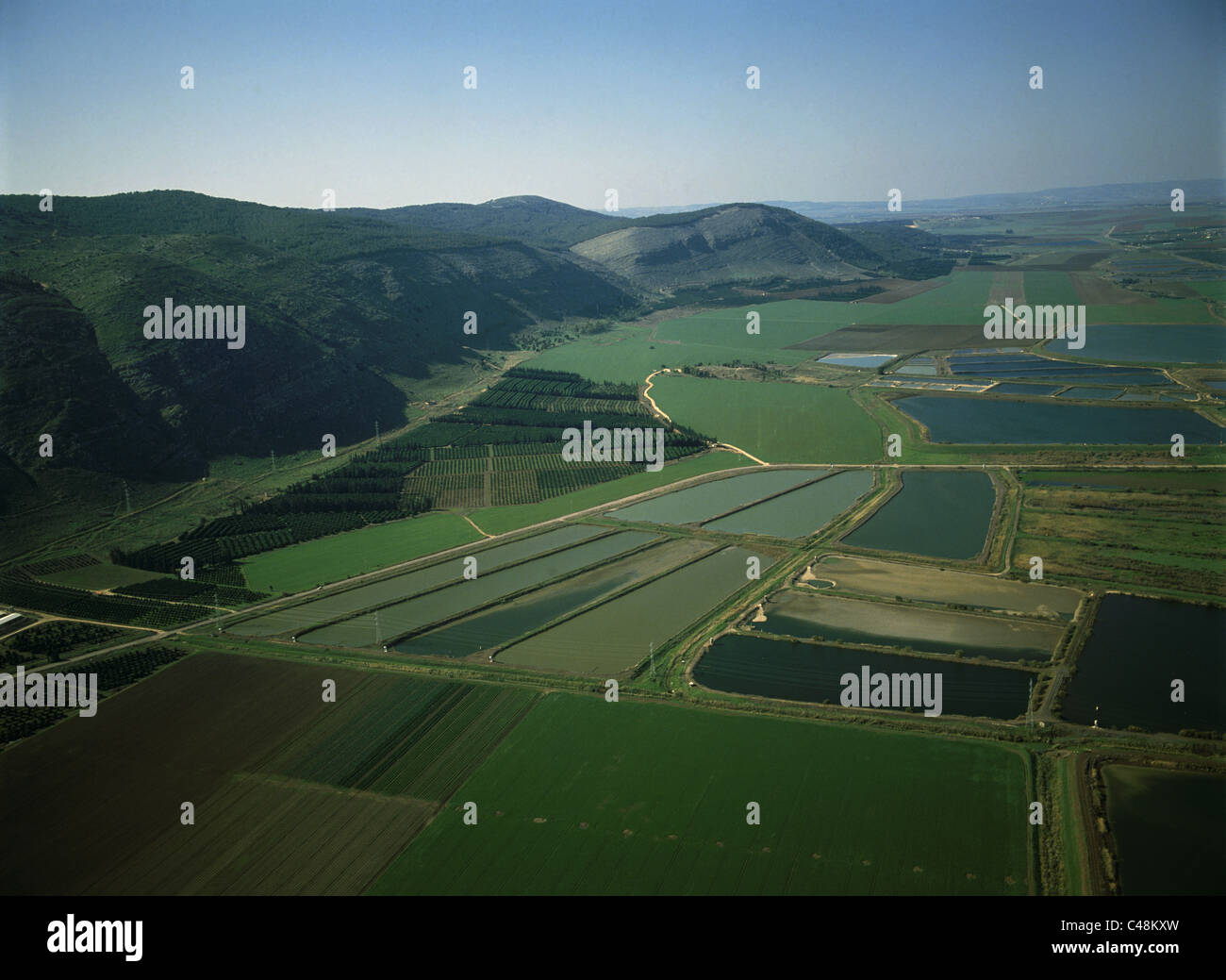 Aerial photograph of the agriculture fields of the Jordan valley Stock ...