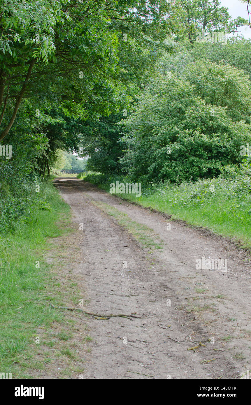 Grass lane hi-res stock photography and images - Alamy