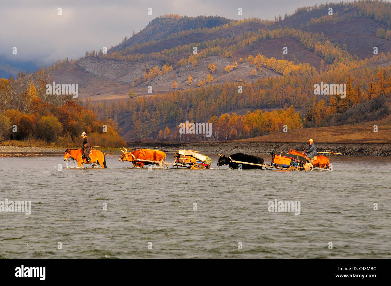 Mongolian family crossing Eg River, Mongolia Stock Photo - Alamy