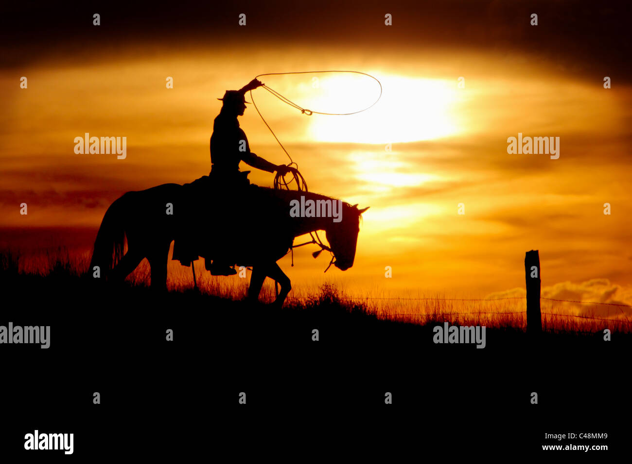 Lasooing the sun Stock Photo - Alamy