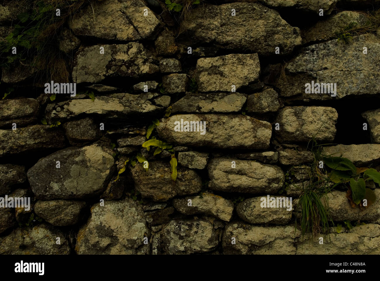Old Stone Wall, Cornwall England UK Stock Photo - Alamy
