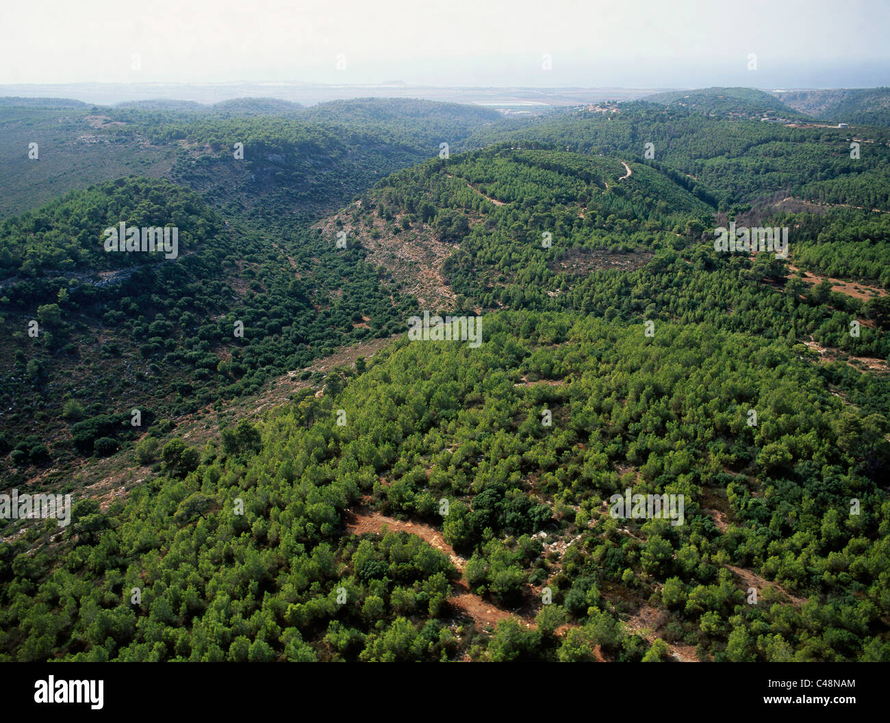 Aerial photograph of the Carmel forest Stock Photo - Alamy