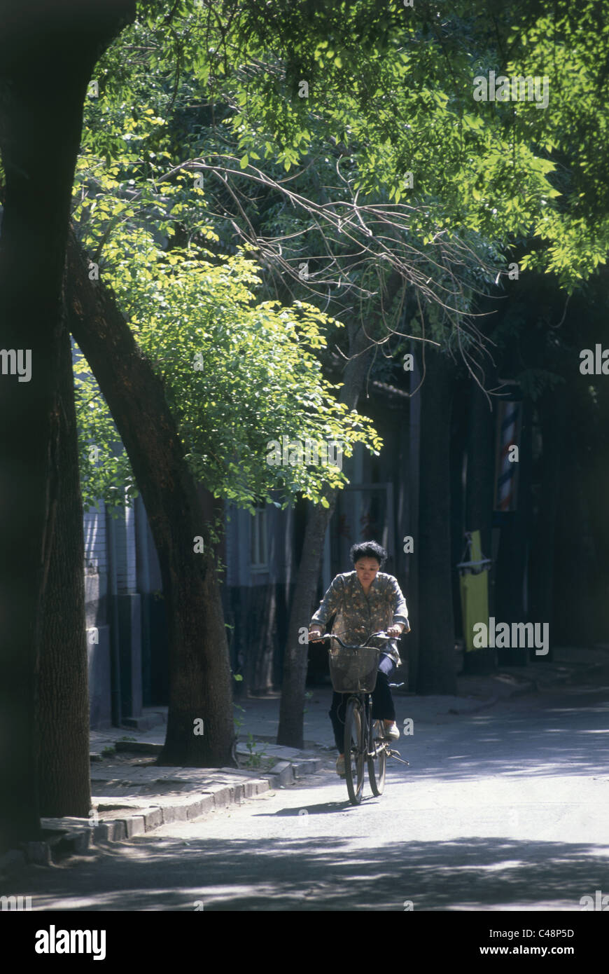 Photograph of a young Chinese woman riding her bicycle in one of ...