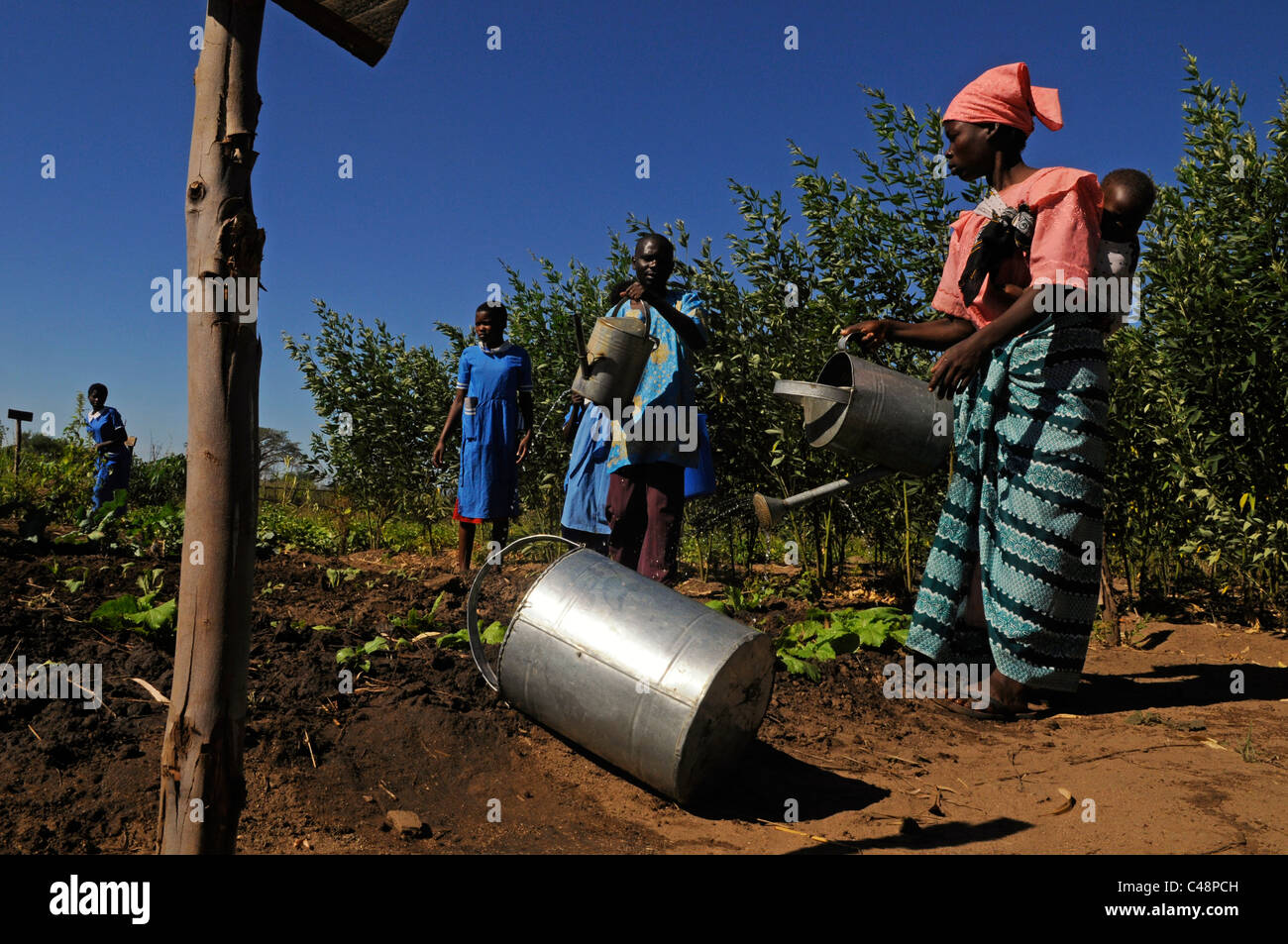 African villagers malawi africa hi-res stock photography and images - Alamy