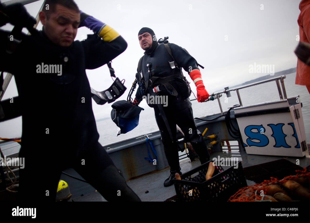 Tribal diver readies himself for a dive, while another diver removes ...