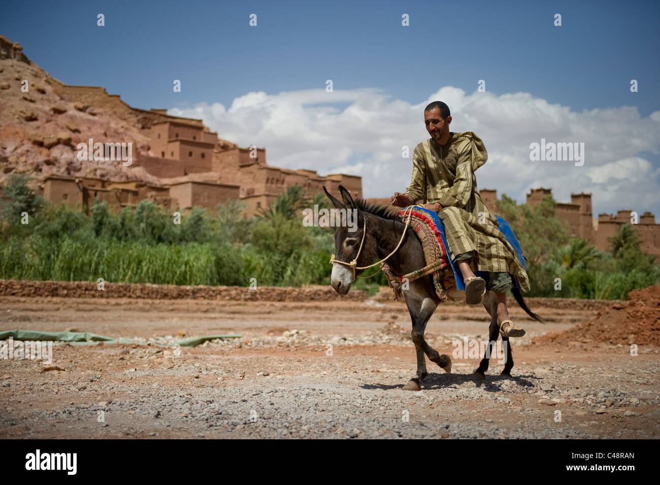 Elderly donkey hi-res stock photography and images - Alamy