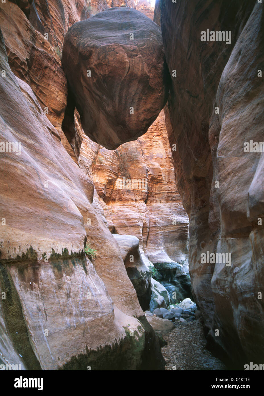 Wedged hi-res stock photography and images - Alamy