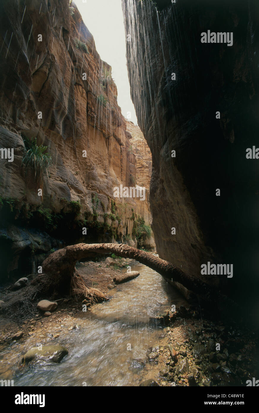 Rain falling on Wadi Iben Hamed Stock Photo - Alamy