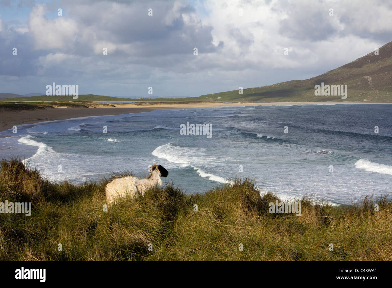 Isle of harris golf course at scarista beach, isle of harris, outer ...