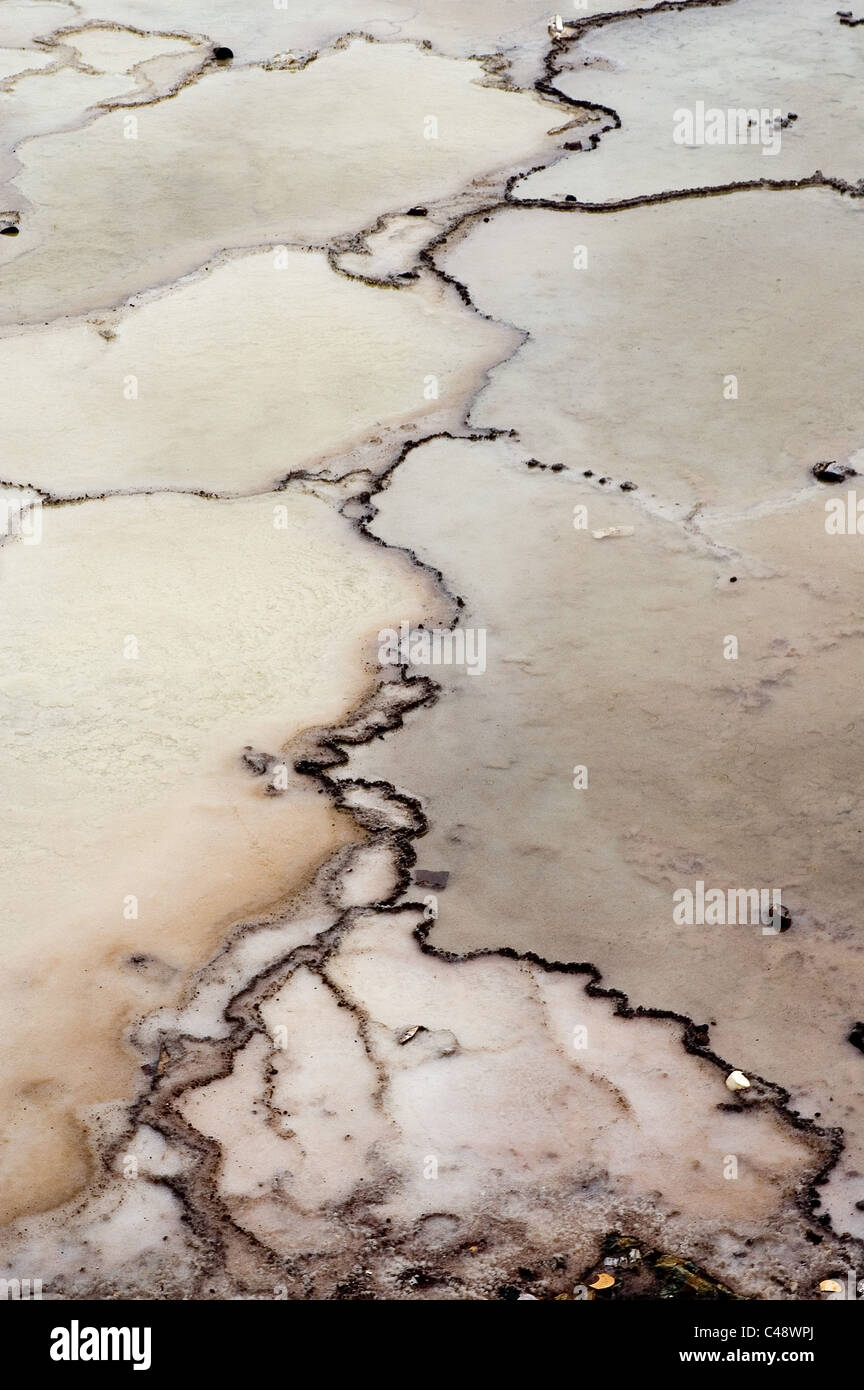 Abstract view of the salt fields of the Dead sea Stock Photo - Alamy