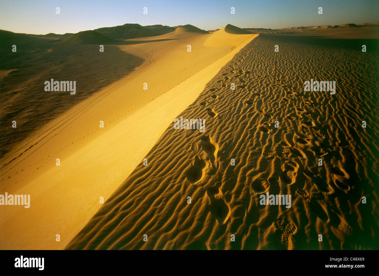 Photograph of a sand dune in the western desert of Egypt Stock Photo ...