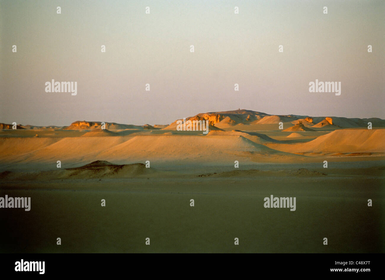 Photograph of a sand dune in the western desert of Egypt Stock Photo ...