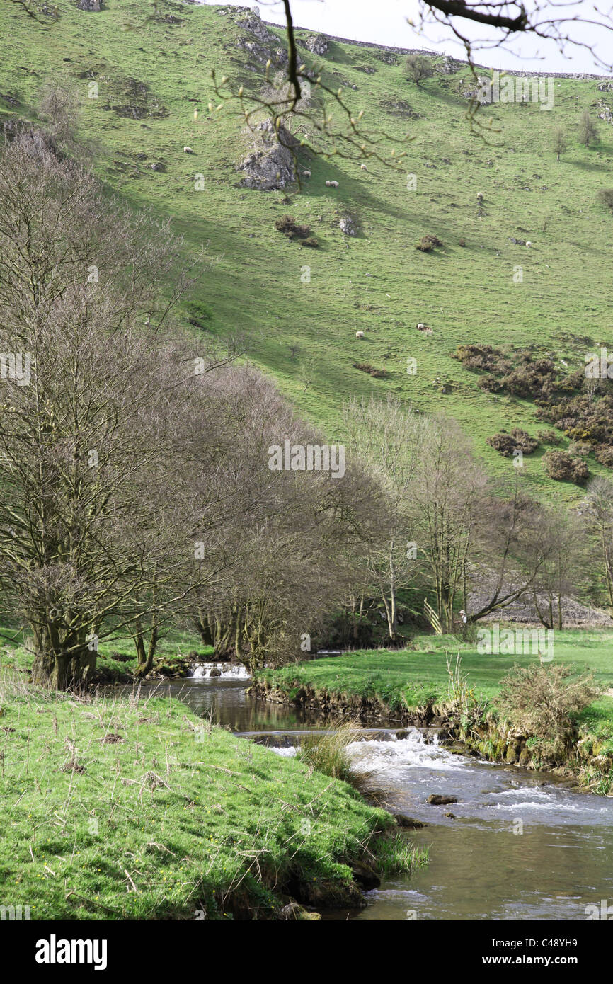 Wolfscote Dale on the Staffordshire, Derbyshire border, Peak District ...