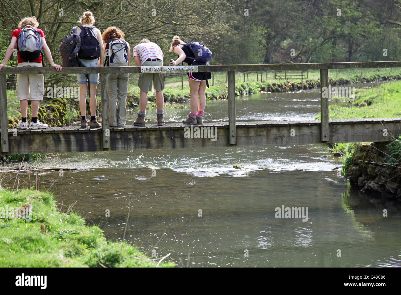 Pooh sticks hi-res stock photography and images - Alamy