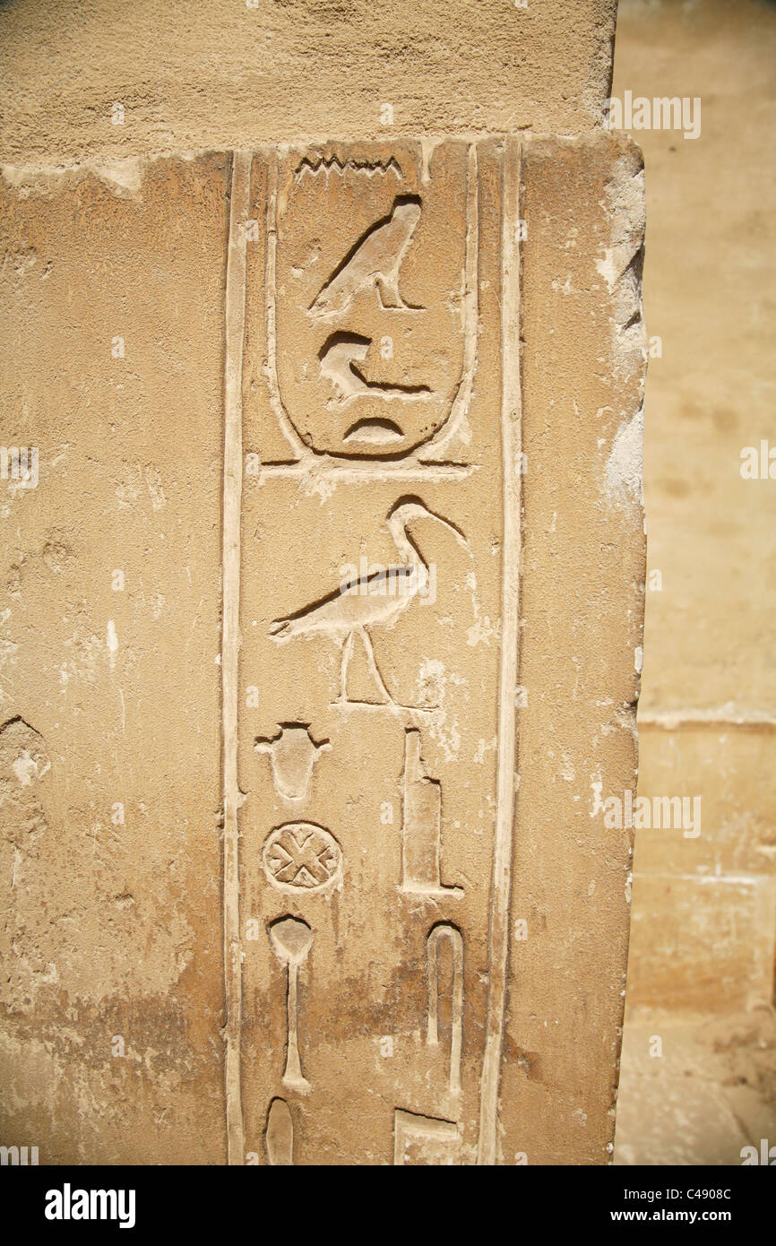 egyptian hieroglyphic writing with birds on a wall Stock Photo - Alamy