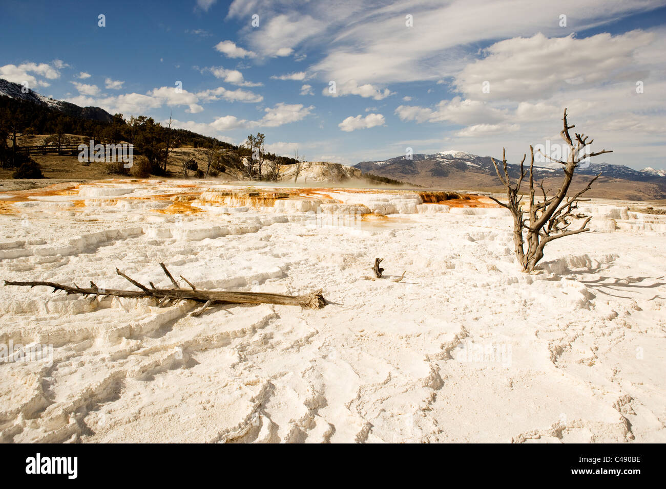 Mammoth in park hi-res stock photography and images - Alamy