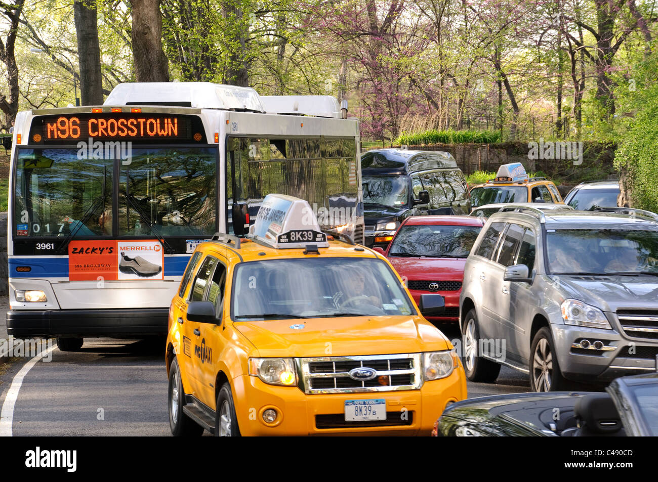 Taxi and Public MTA M96 bus crossing Central Park, New York City, 2011 ...