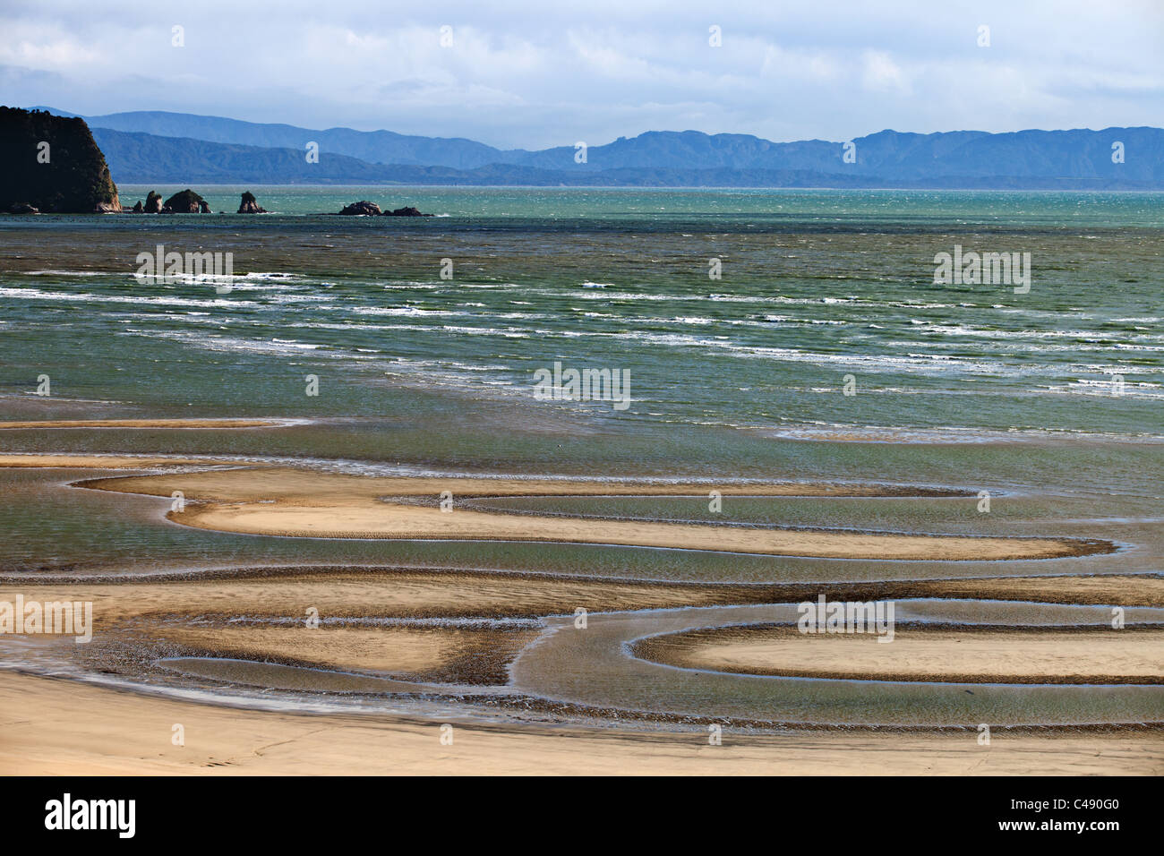 Wainui Bay during low tide, Abel Tasman Nat. Park, New Zeland Stock ...