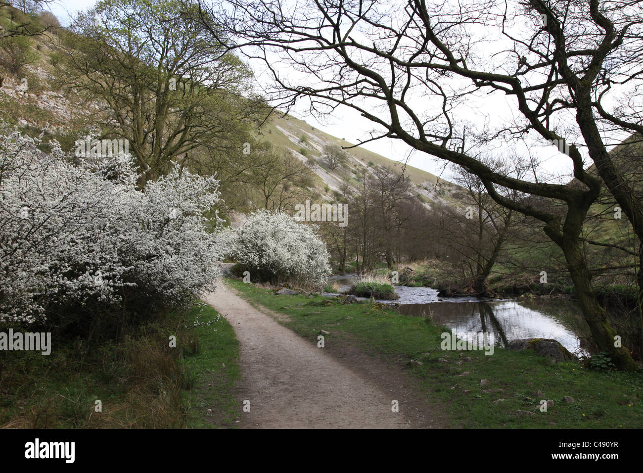 Wolfscote Dale on the Staffordshire, Derbyshire border, Peak District ...
