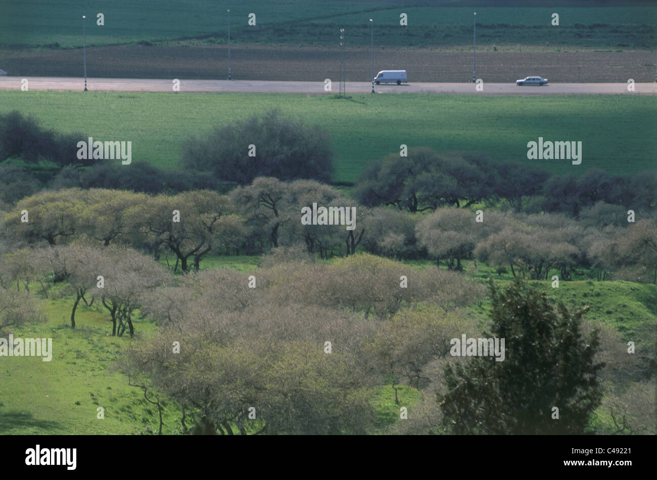 Aerial photograph of Tel Shimron in the Lower Galilee Stock Photo - Alamy