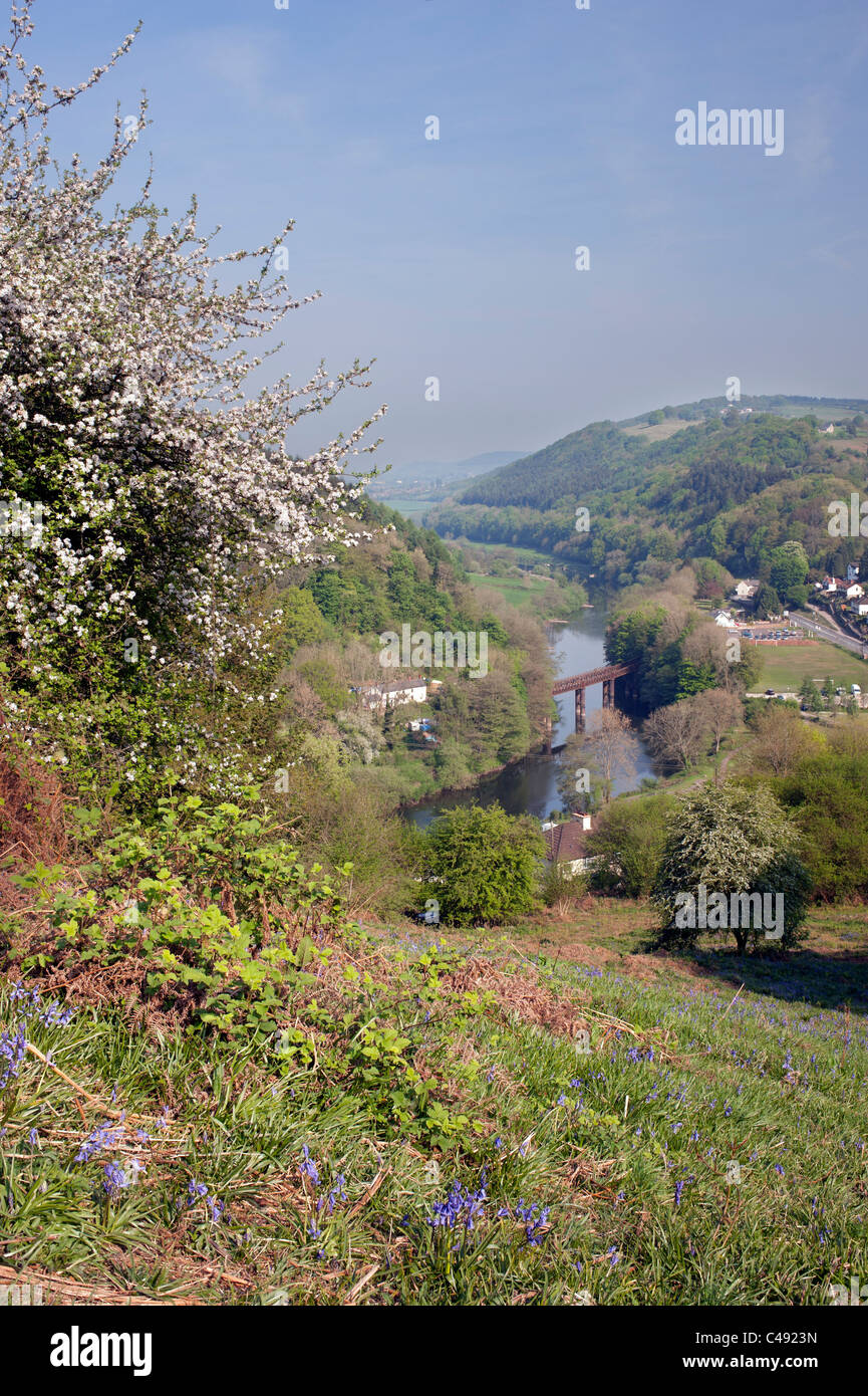 The Wye Valley and River Wye seen from hillside above Redbrook, looking ...