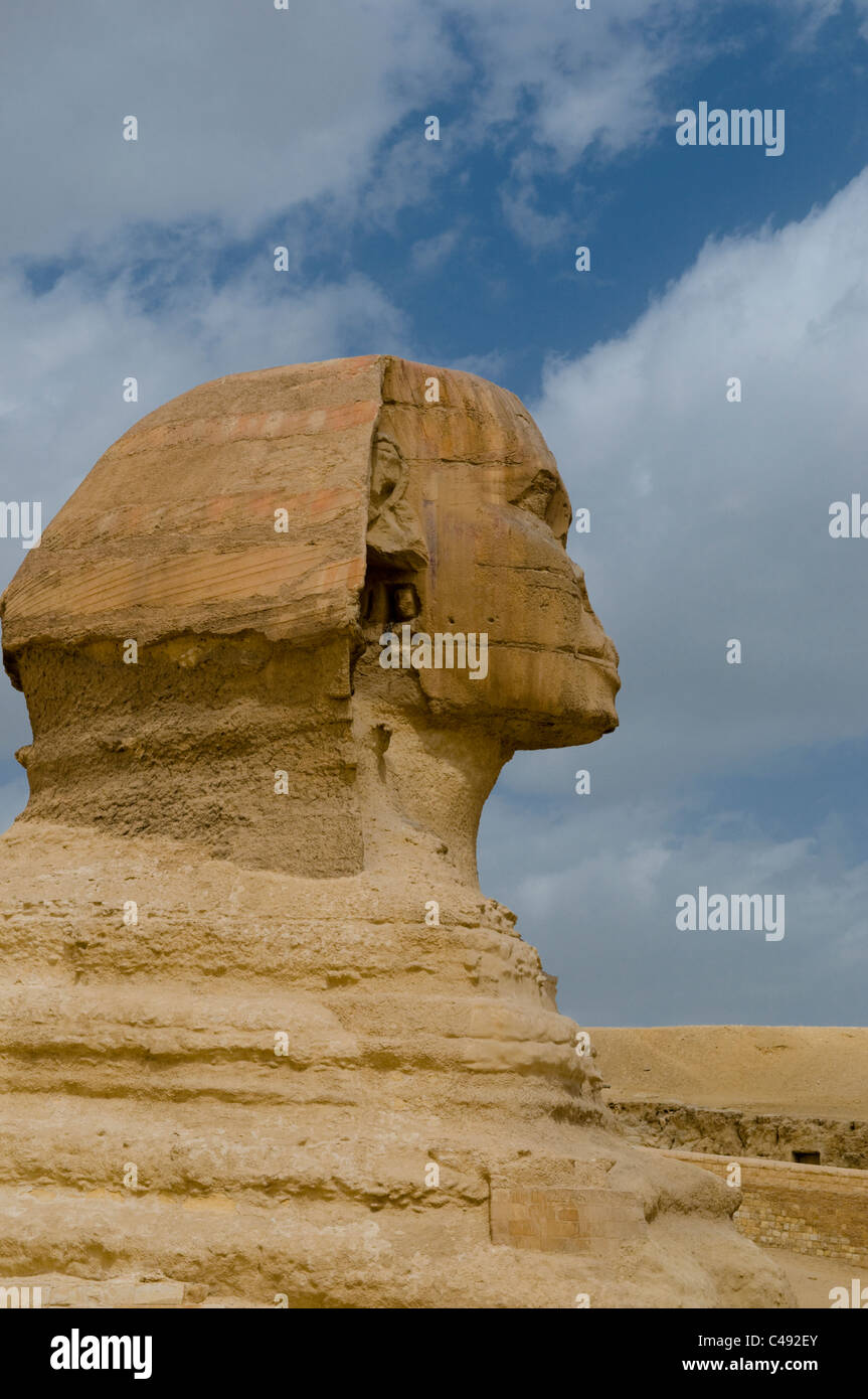 Profile of sphinx hi-res stock photography and images - Alamy