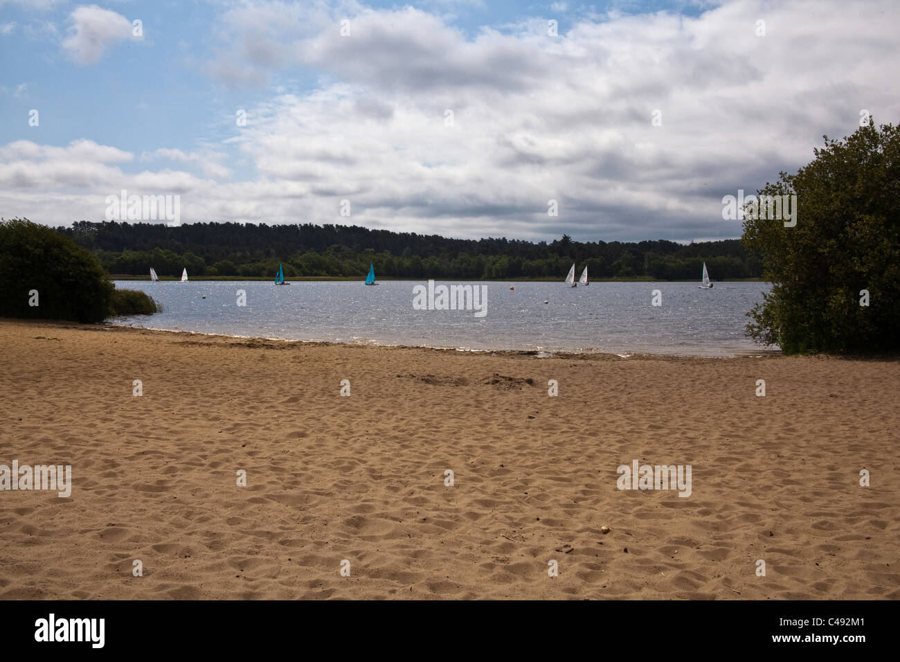 Frensham great pond hi-res stock photography and images - Alamy