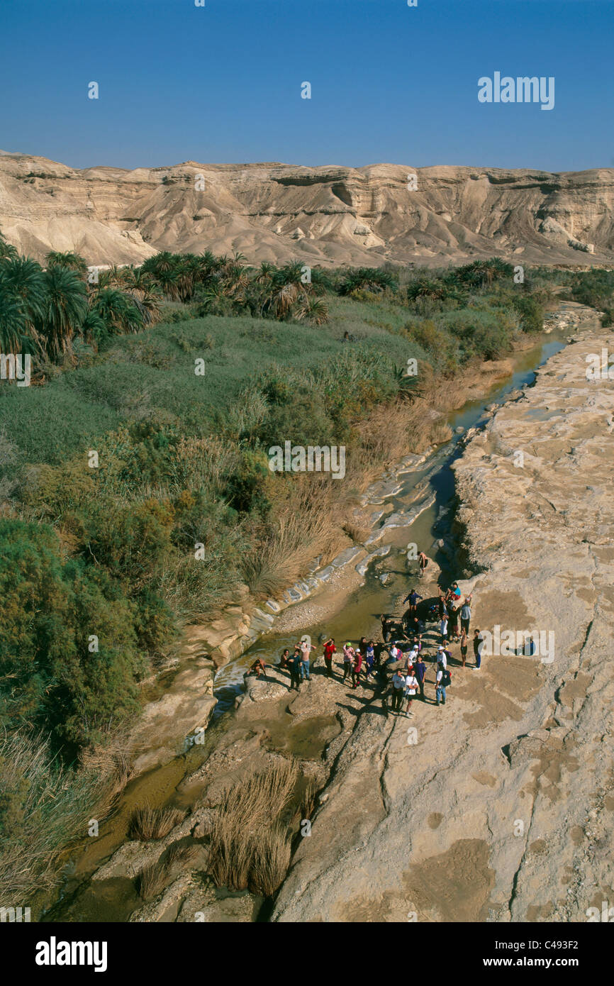 Aerial photograph of hykers in Zin river in the Negev desert Stock ...