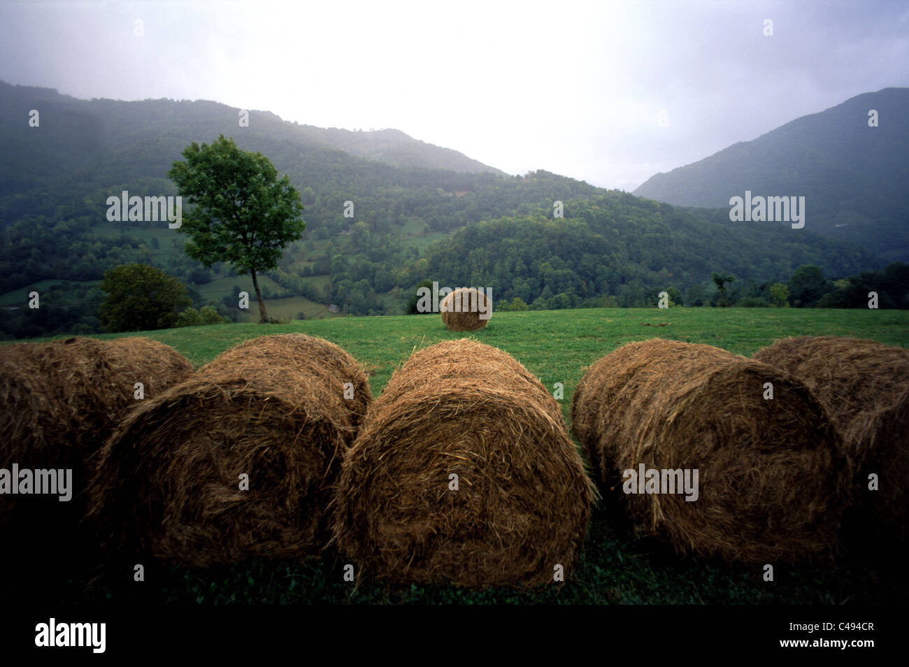 Photograph of stack of hay in the Pyrenees Stock Photo - Alamy