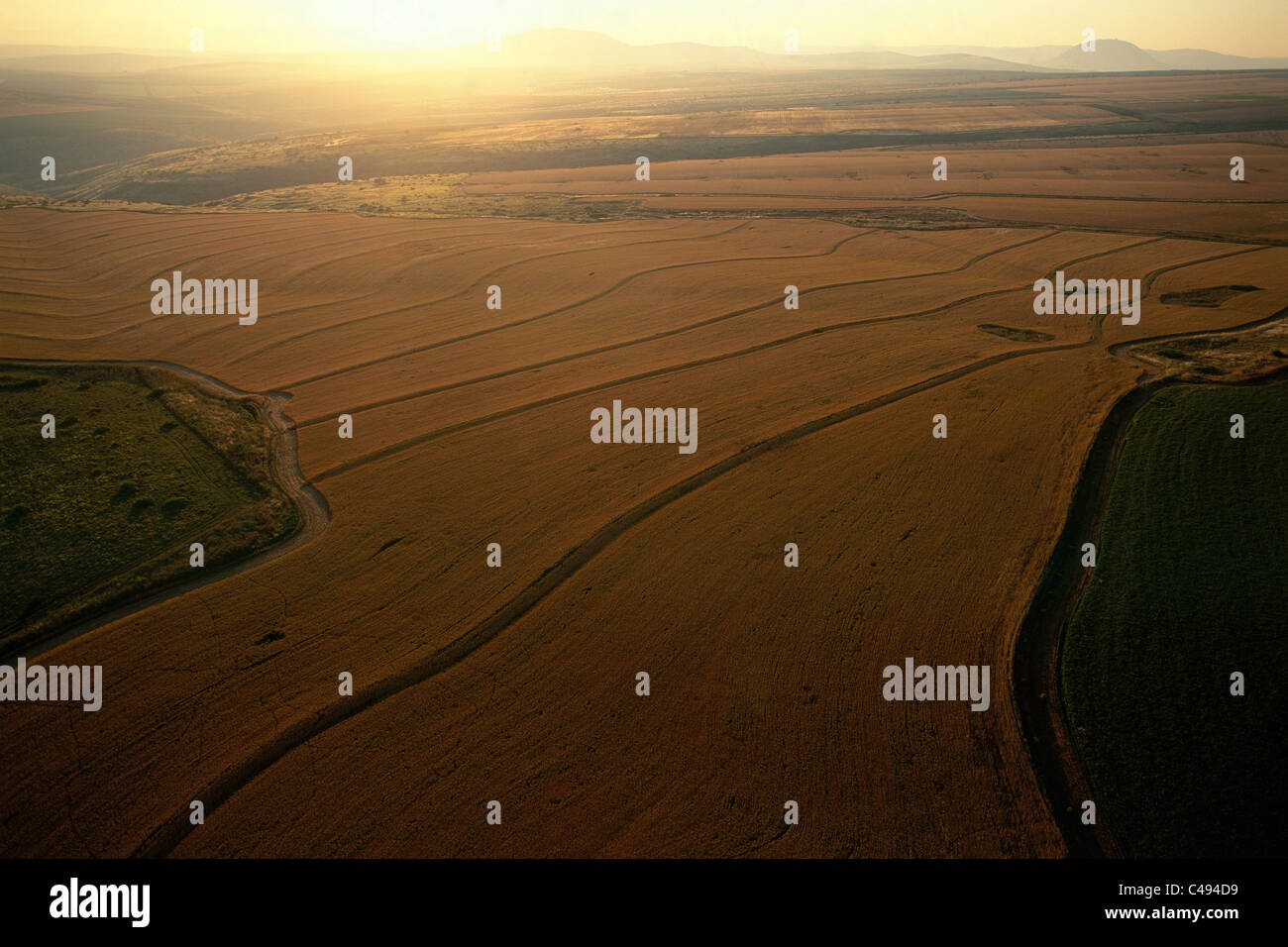 Issachar hi-res stock photography and images - Alamy