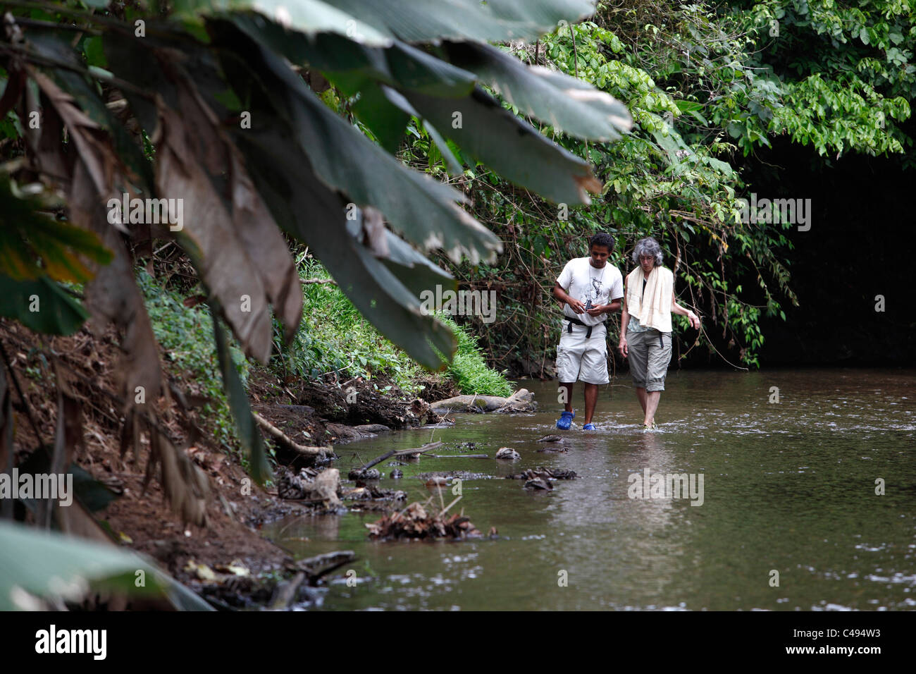 Tourist and guide on a waling tour in the rain forest, Drake Bay, Osa ...