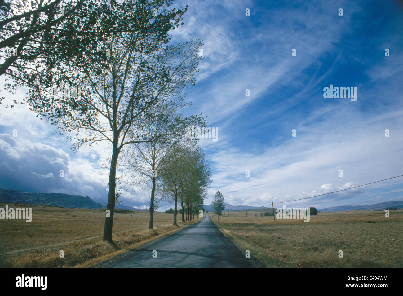 Photograph of a country-side road in Spain Stock Photo - Alamy