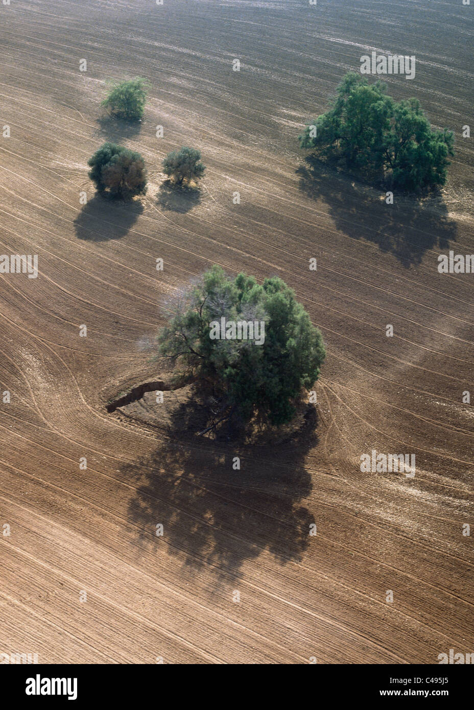Aerial photograph of a plowed field in the northern Negev Stock Photo ...