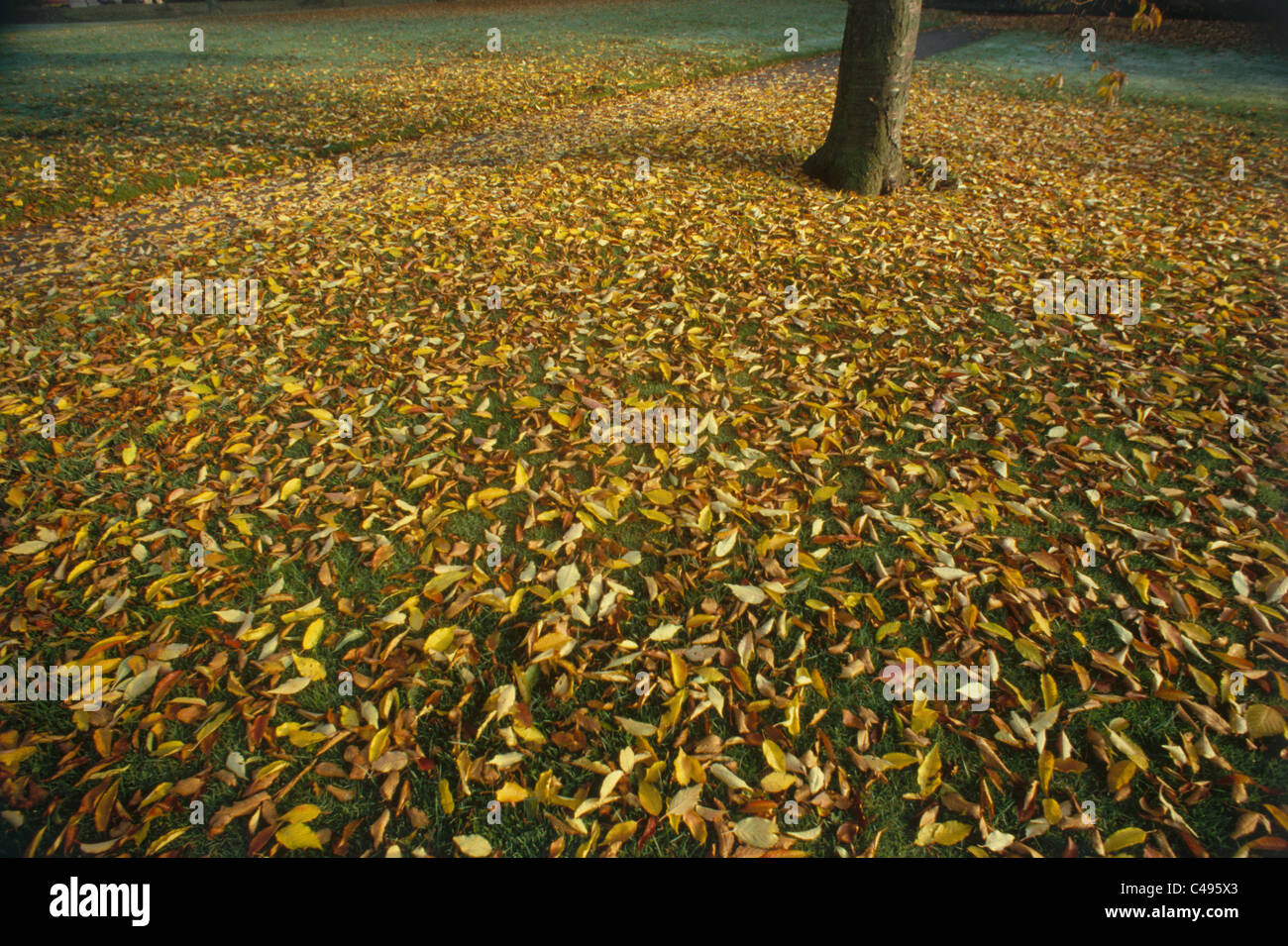 Photograph of the country-side in Edinburgh Scotland Stock Photo - Alamy