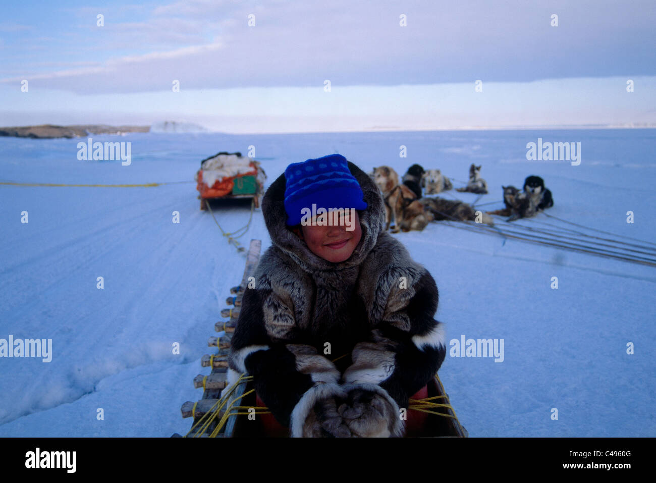 Photograph of a young Eskimo boy sitting in a sled in Baffin Canada ...