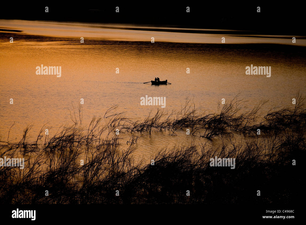 Sea of galilee fishing hi-res stock photography and images - Alamy
