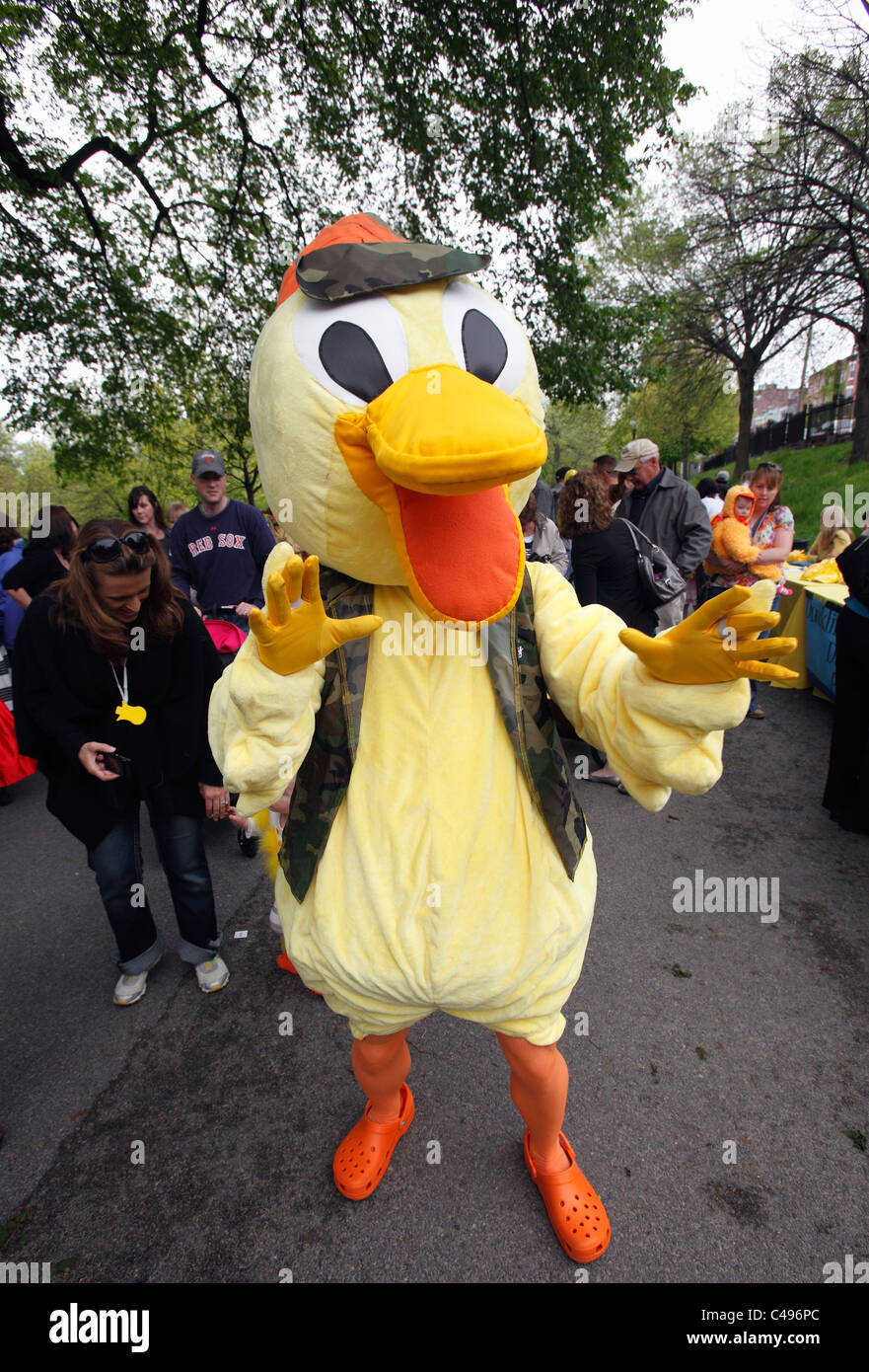 Duck mascot, Duckling Day event, Boston Common, Boston, Massachusetts ...