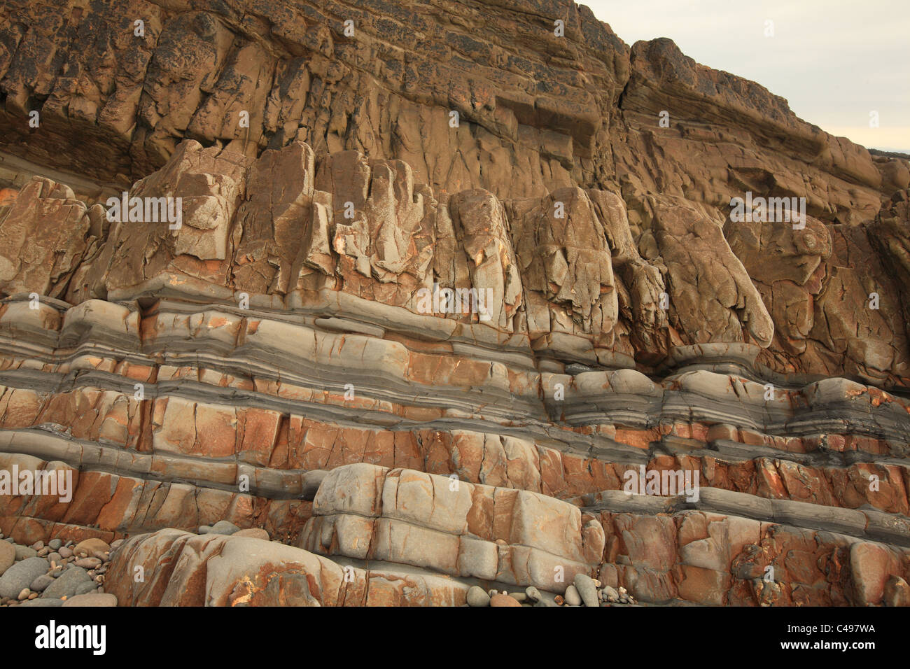 Sandstone rock strata in cliffs at Northcott Mouth, North Cornwall ...
