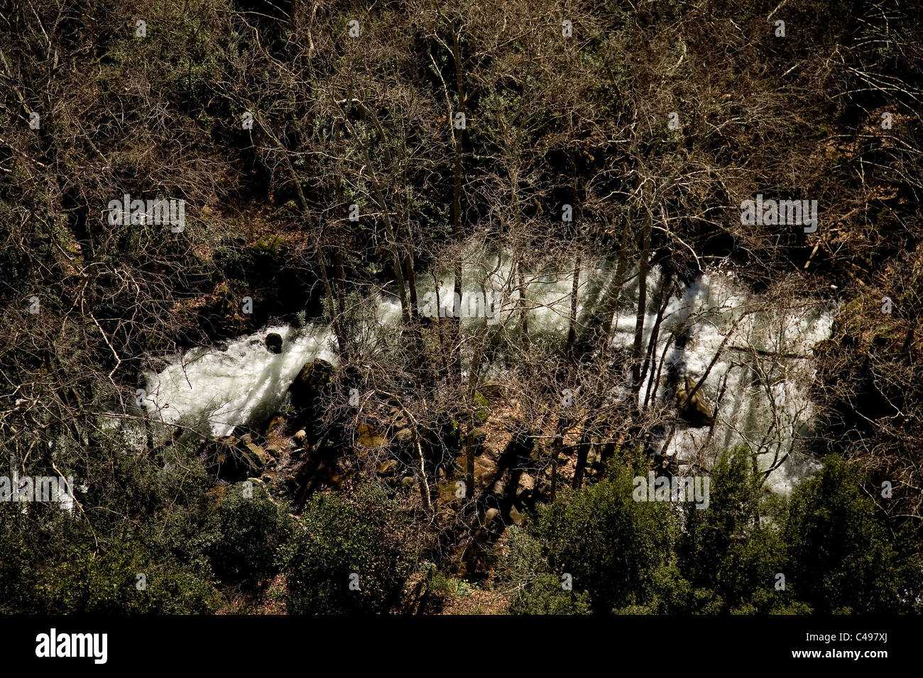 Aerial photograph of the Banias river in the Northern Golan Heights ...